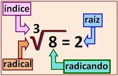 Trabalhando com Raiz em Javascript